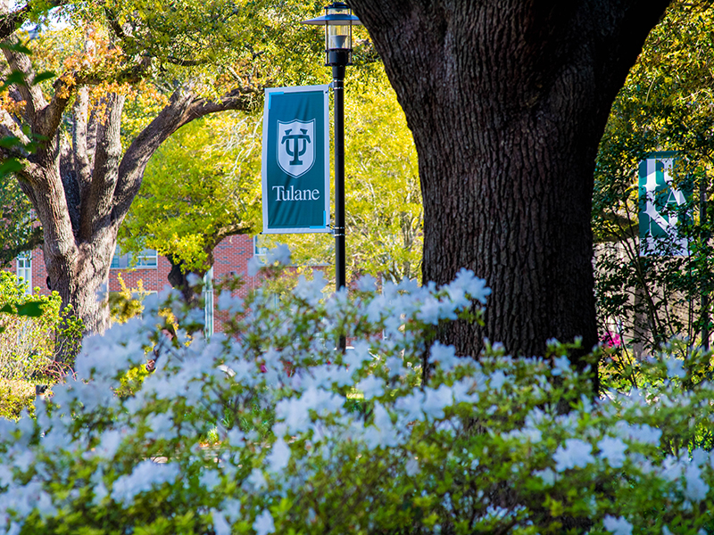 Brand Platform | tulane